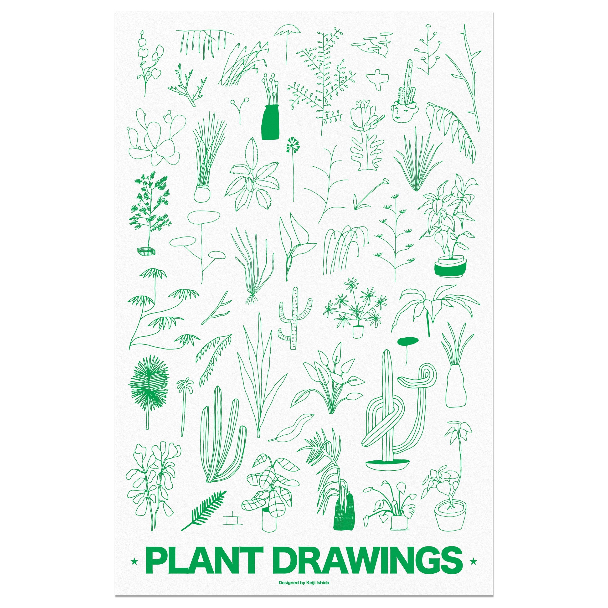 Keiji Ishida Plant Drawing Riso Print – HIGHTIDE STORE DTLA