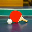 Mini Ping-Pong Set – HIGHTIDE STORE DTLA